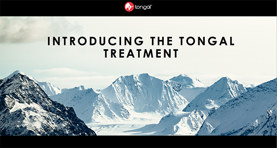 Tongal's Greatest (Blog) Hits of 2017