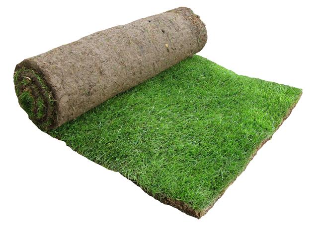Astro Turf Portfolio
