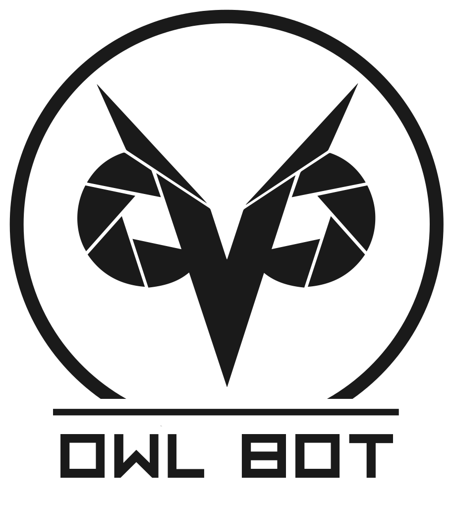 Owl Bot Portfolio