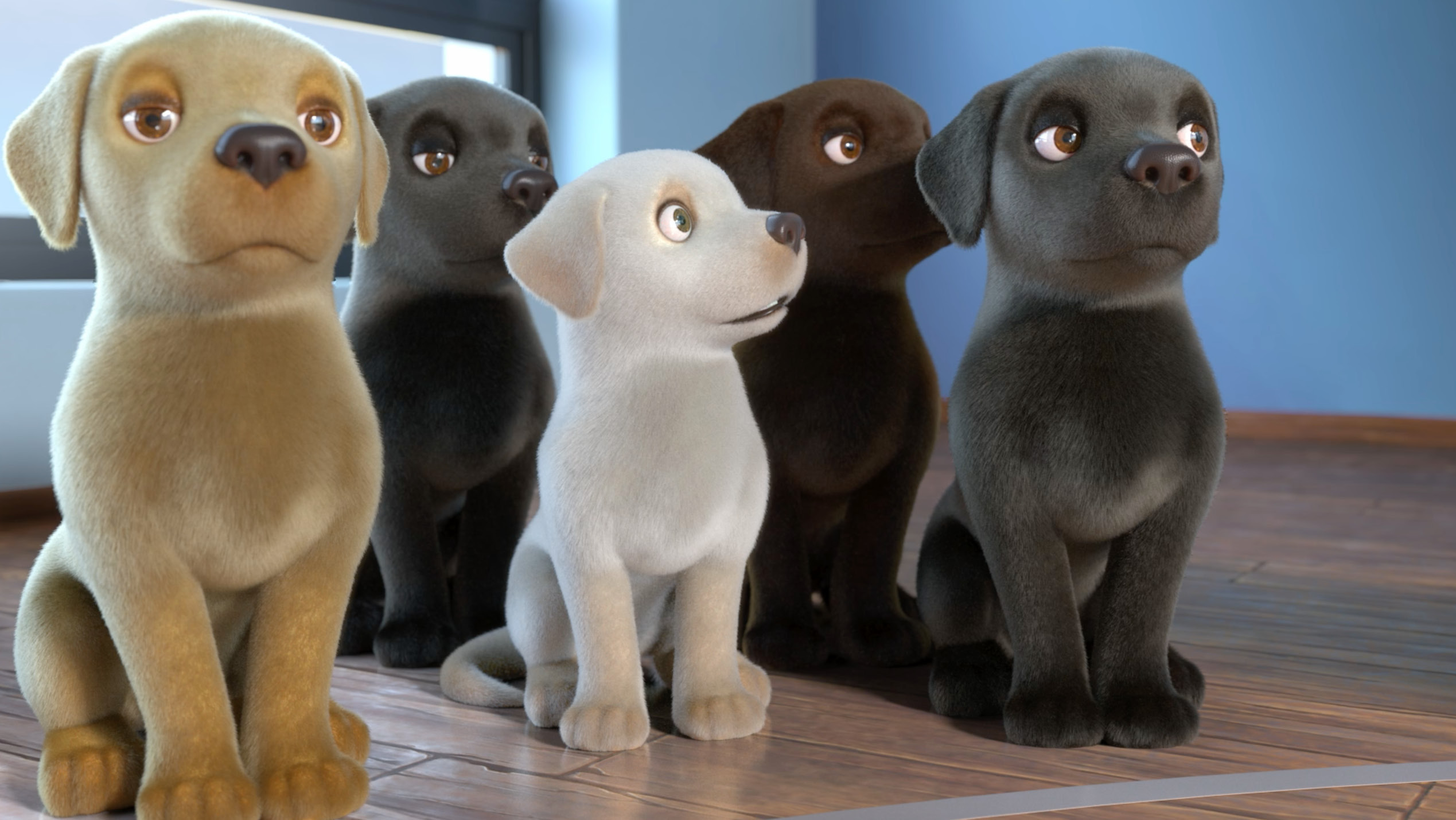 Tongal | Welcome to Your Studio on Demand