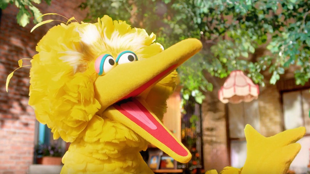 Case Studies | Tongal